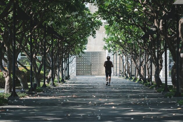 Plan De Entrenamiento Cardiovascular Para Personas Con Diabetes Antes